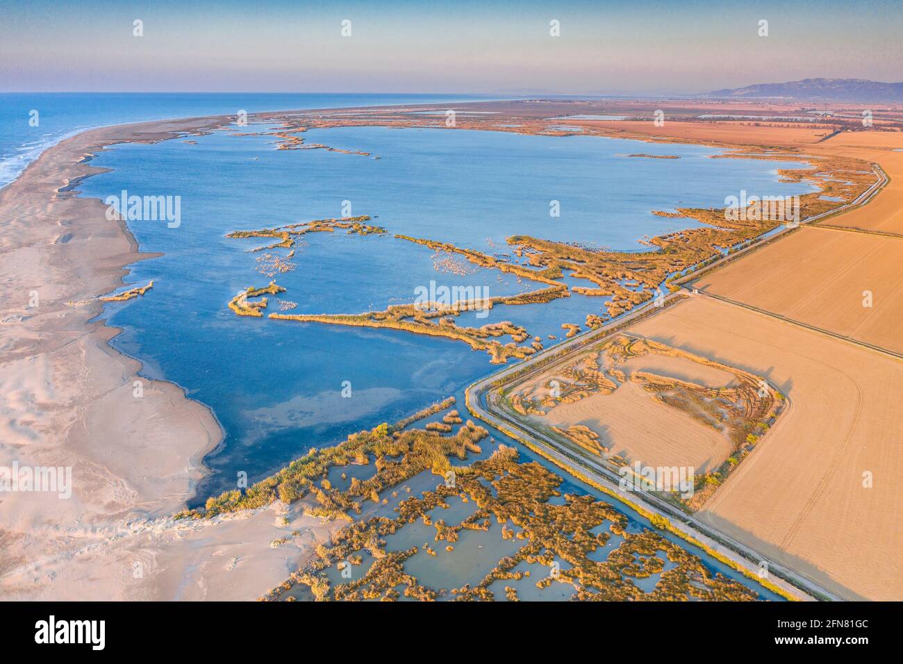Delta del rio ebro hi-res stock photography and images - Alamy