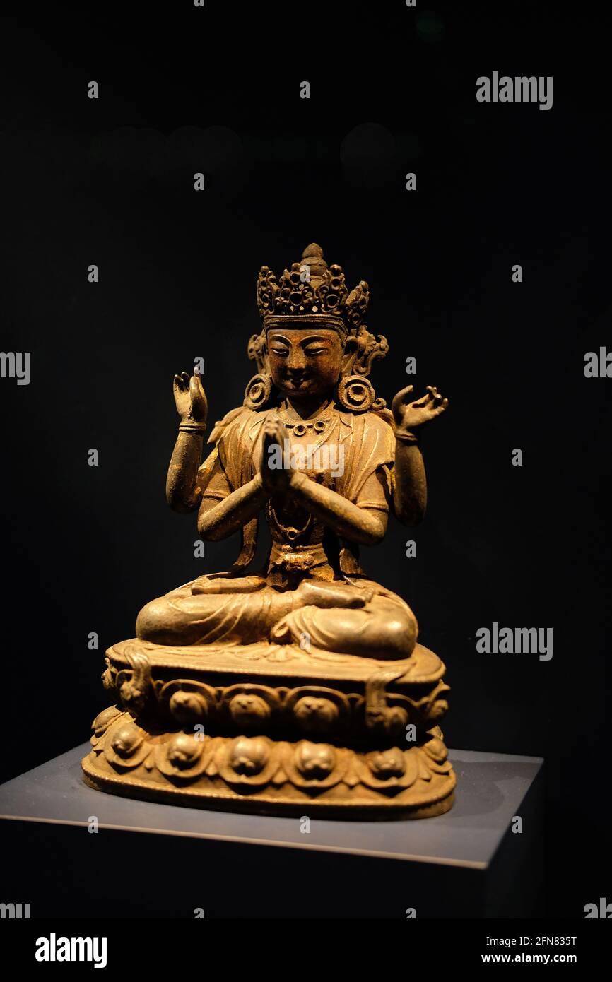 Buddha, statue, exhibition, collection, Basel, Museum of Culture Stock ...