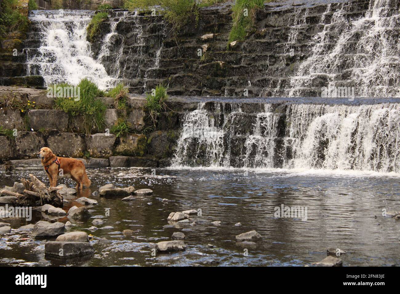 Waterfall at river dodder in dublin hi-res stock photography and images ...