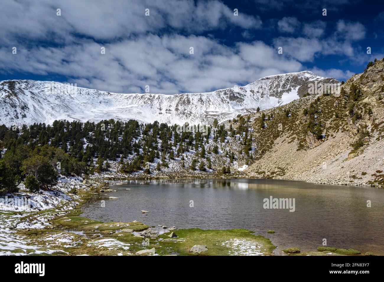 Una pera hi-res stock photography and images - Alamy