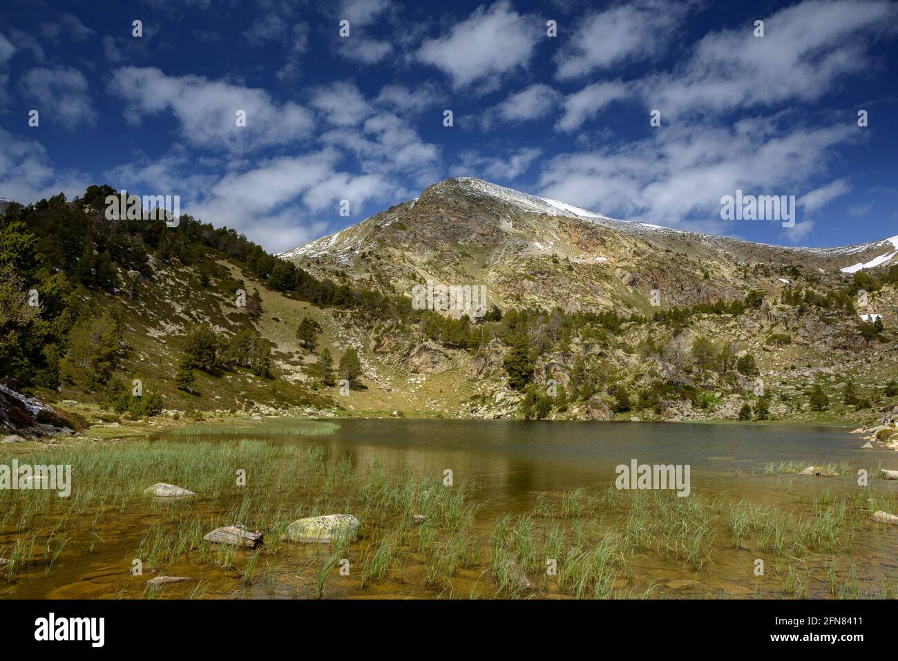 Viajar a la naturaleza hi-res stock photography and images - Alamy