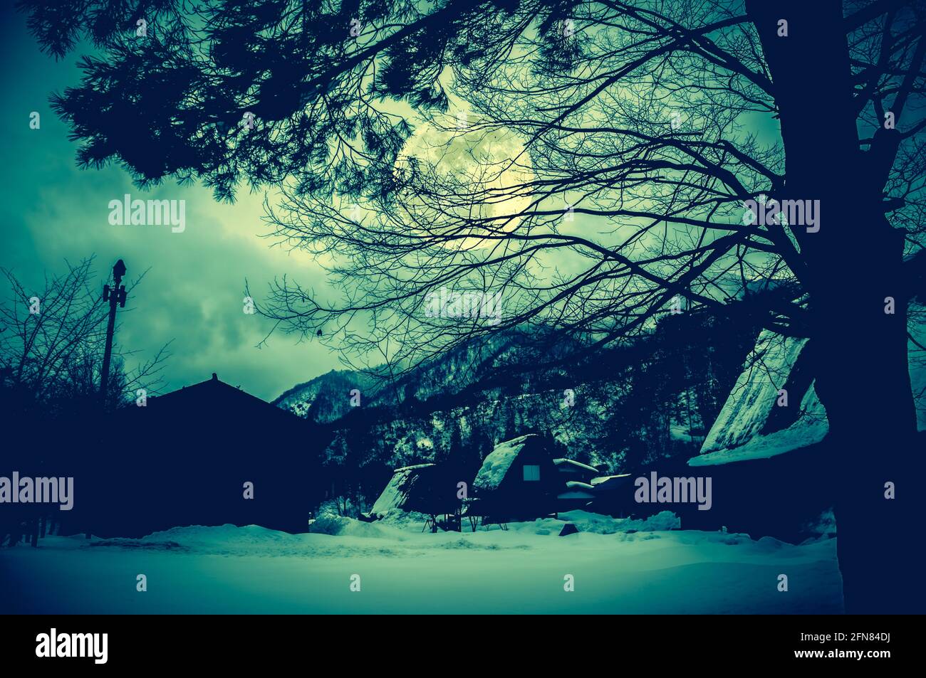 Snow covered the ground in winter. Silhouette of town and dry trees ...