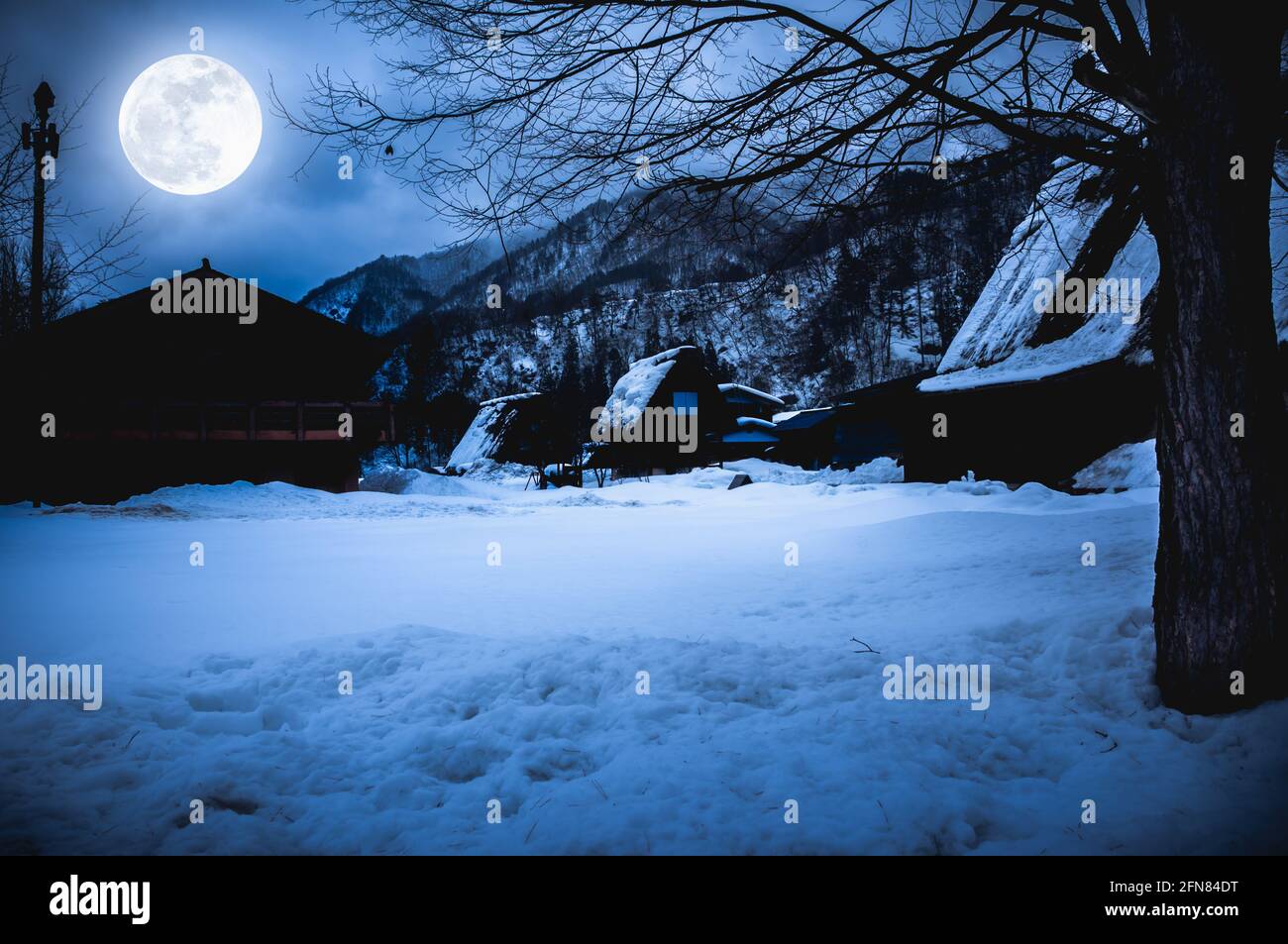 Snow covered the ground in winter. Silhouette of town and dry trees ...