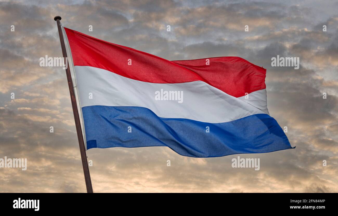 Dutch red white and blue blowing at sunset Stock Photo - Alamy