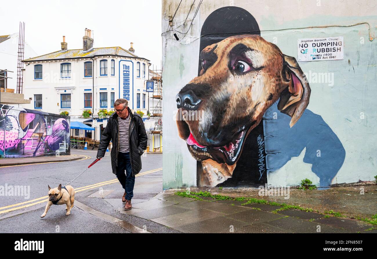 Brighton dogs mural hi-res stock photography and images - Alamy