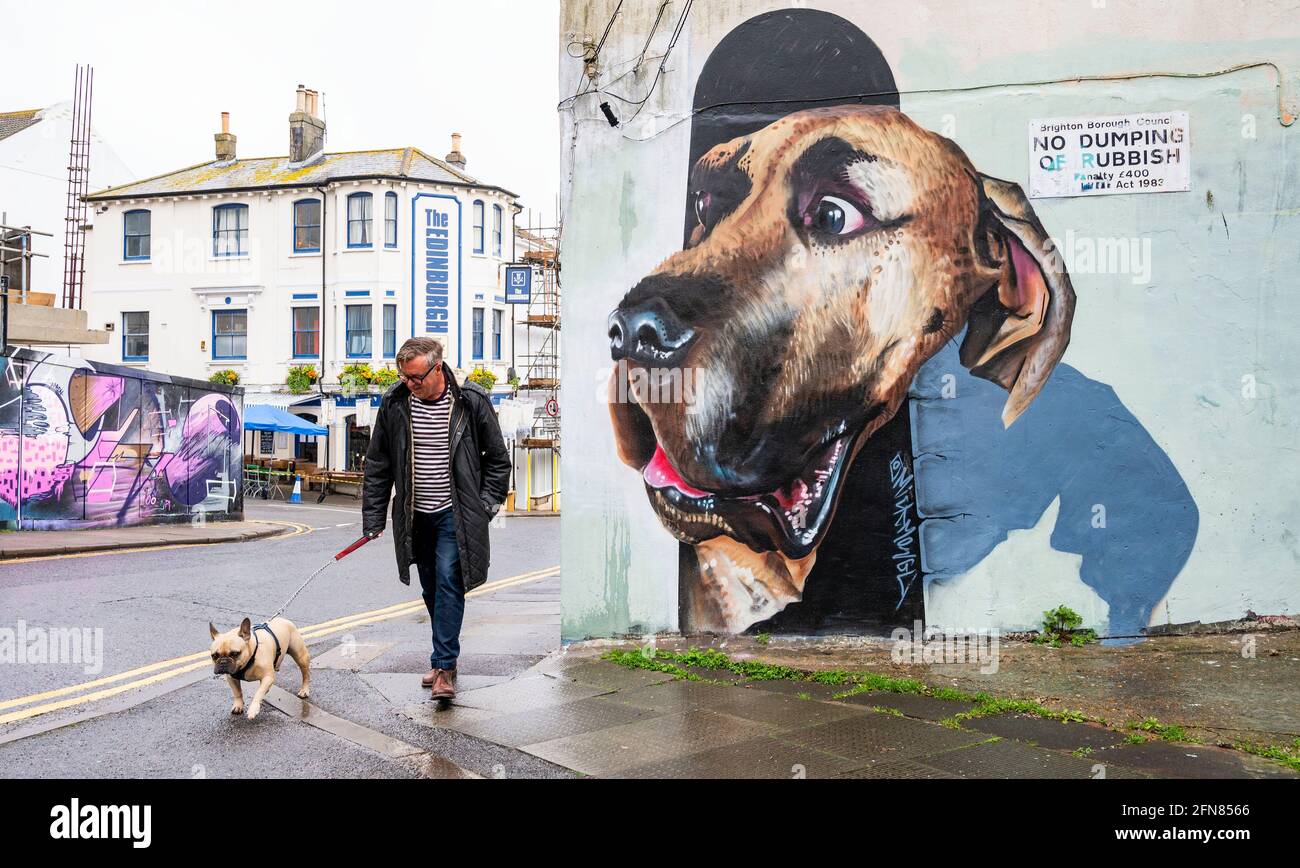 Brighton dogs mural hi-res stock photography and images - Alamy