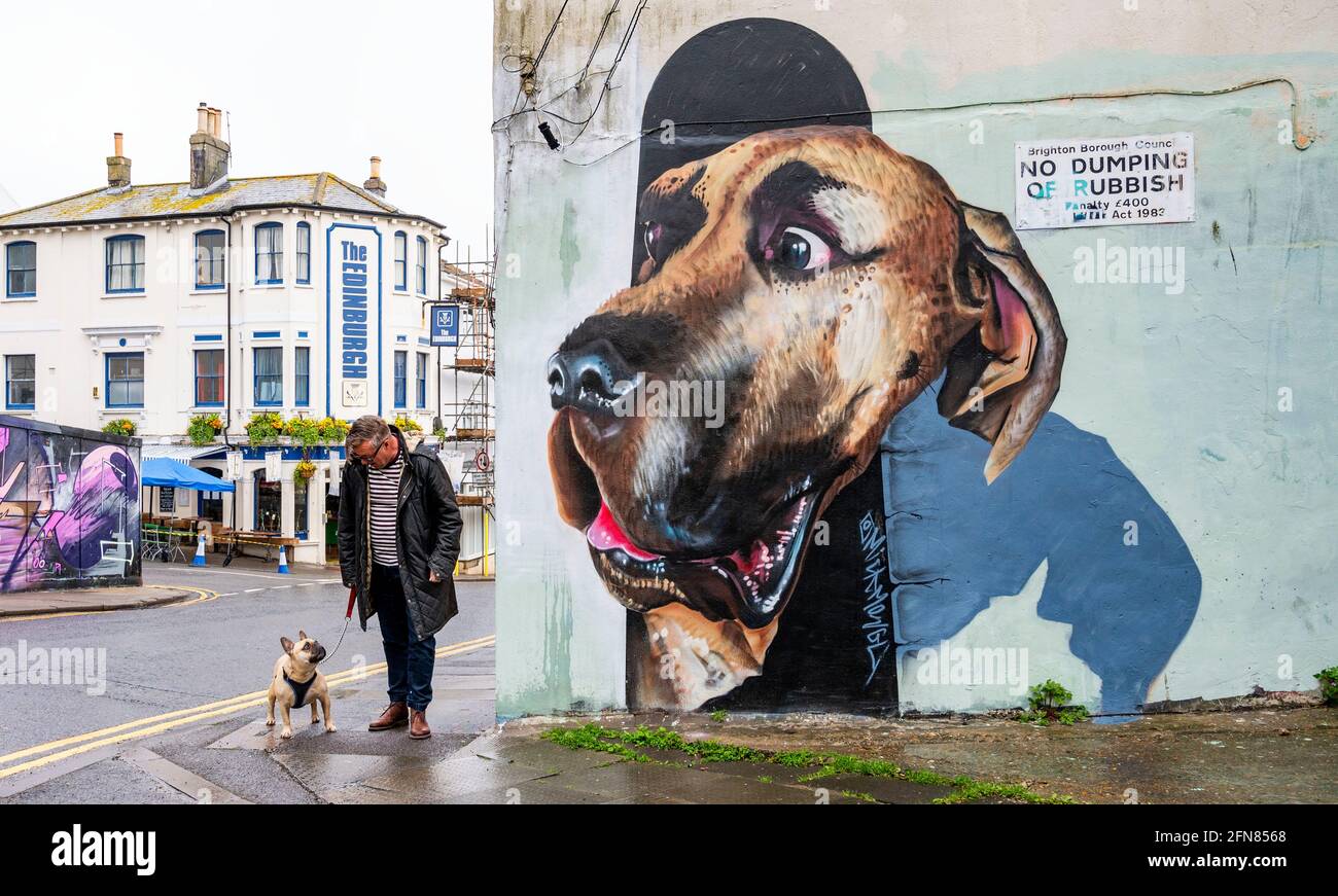 Brighton dogs mural hi-res stock photography and images - Alamy