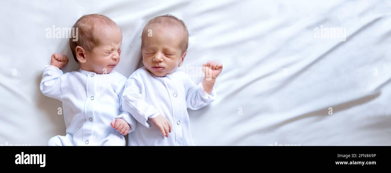 Newborn twins on the bed, in the arms of their parents, on a white ...