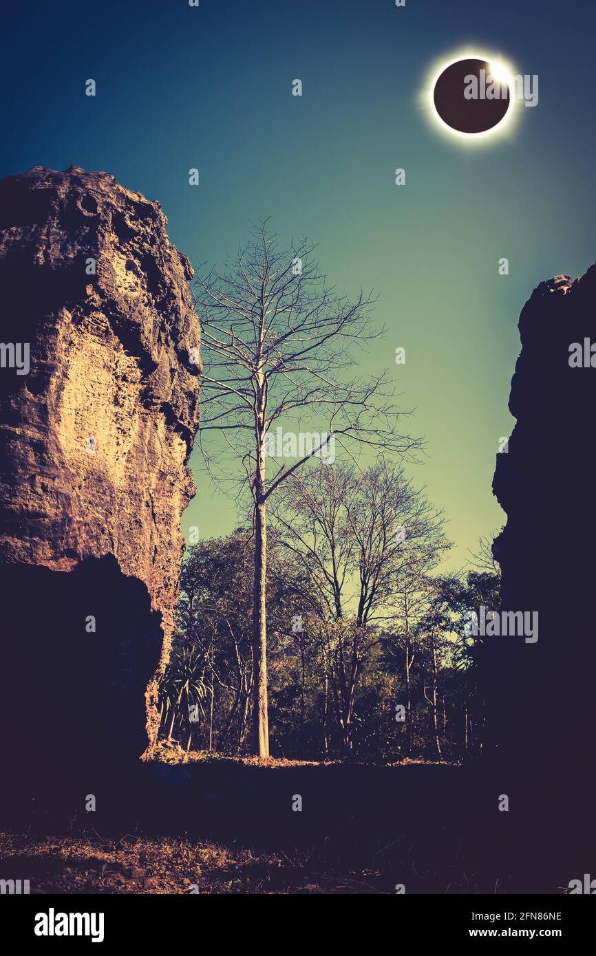 Scientific natural phenomenon. Prominence and internal sun's corona ...