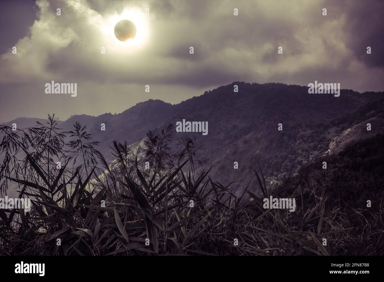 Amazing scientific natural phenomenon. The Moon covering the Sun. Total ...