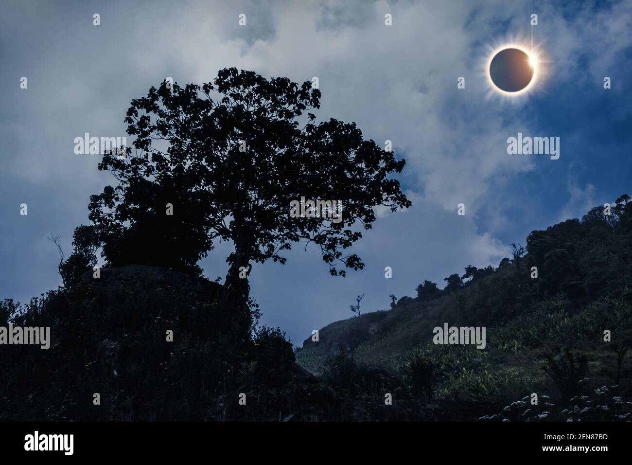 Amazing scientific natural phenomenon. The Moon covering the Sun. Total ...