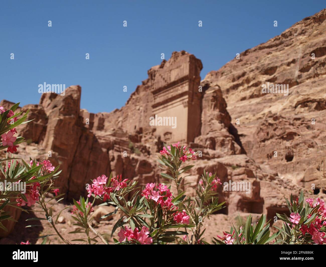 Petra, UNESCO World Heritage site in Jordan Stock Photo - Alamy