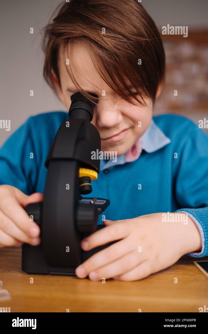 Distance online education, internet learning. First grade boy studying ...