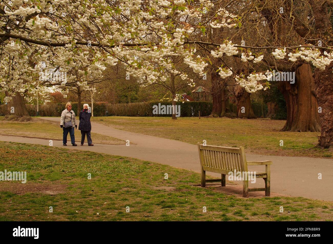 Two older women walking along a park pathway, approaching a park bench ...