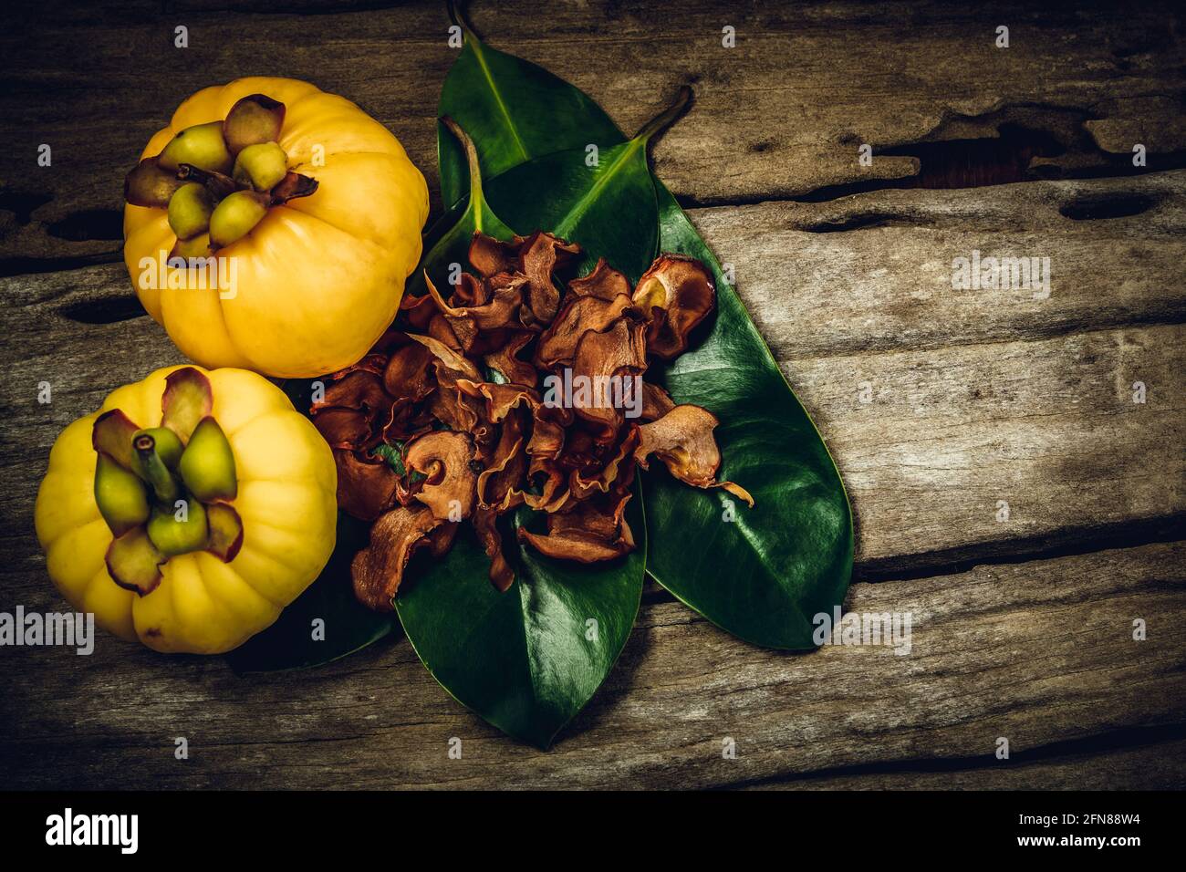 Citric plants hi-res stock photography and images - Alamy