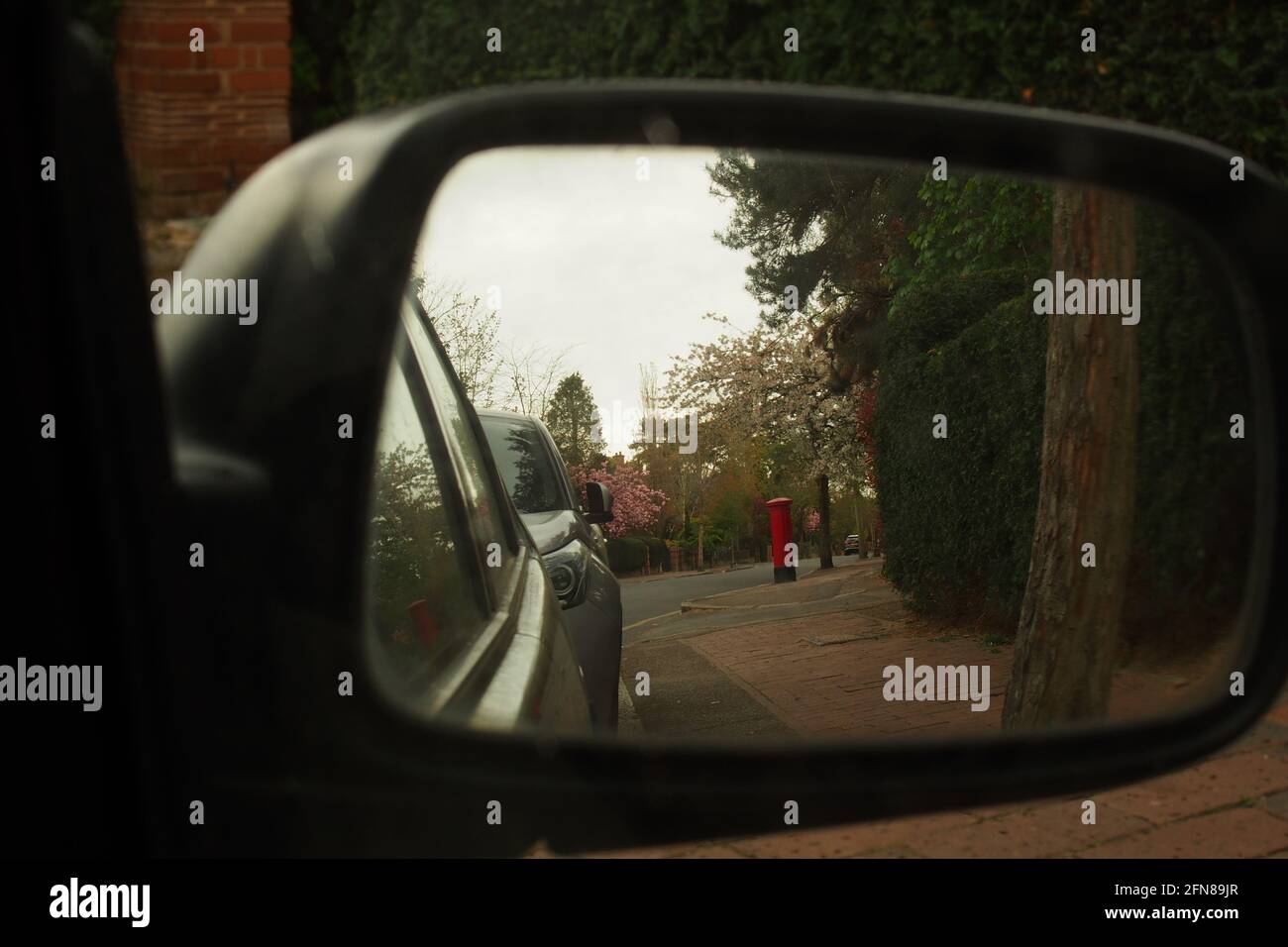 A view looking from a car driver's seat into the wing, door, mirror ...