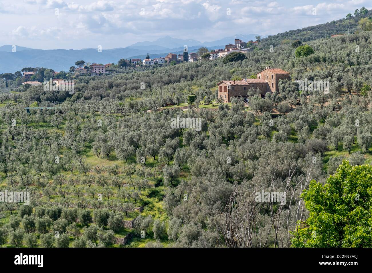 Anchiano tuscany hi-res stock photography and images - Alamy