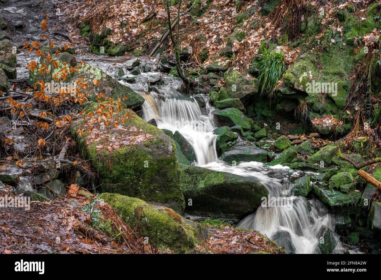 Fall in the hatch hi-res stock photography and images - Alamy