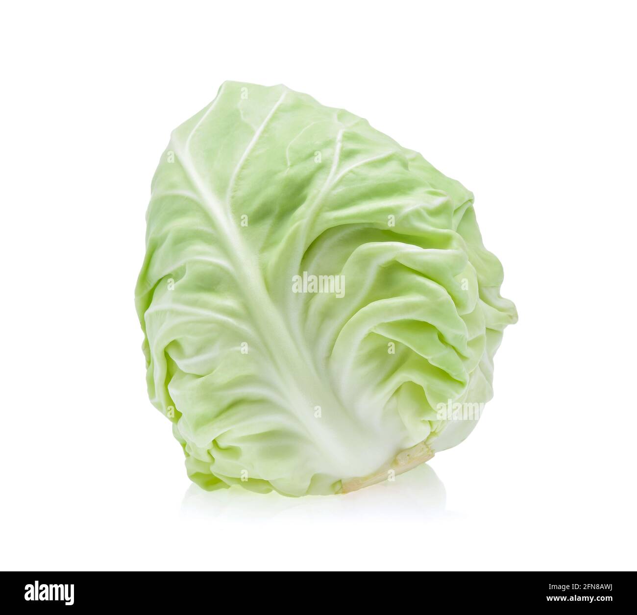 pointed cabbage isolated on white background Stock Photo - Alamy
