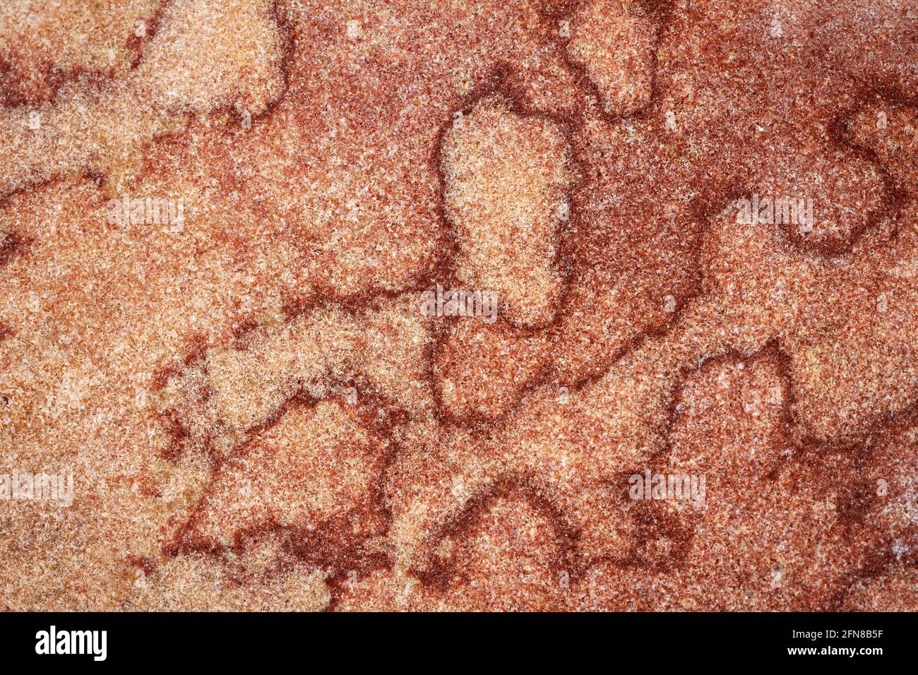 Red sea stone texture with some lines Stock Photo - Alamy