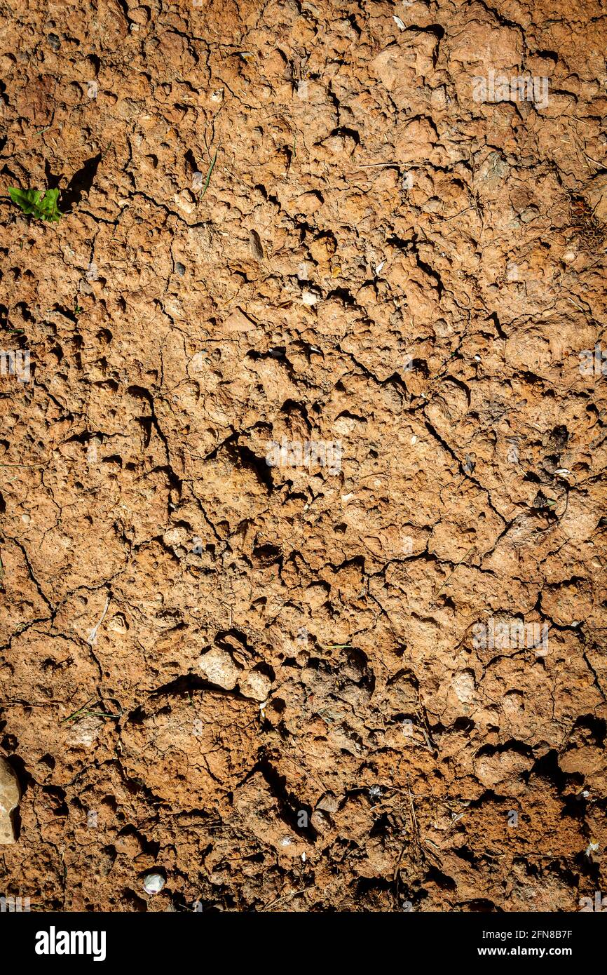 Abstract ground texture with clumps. Soil background Stock Photo - Alamy