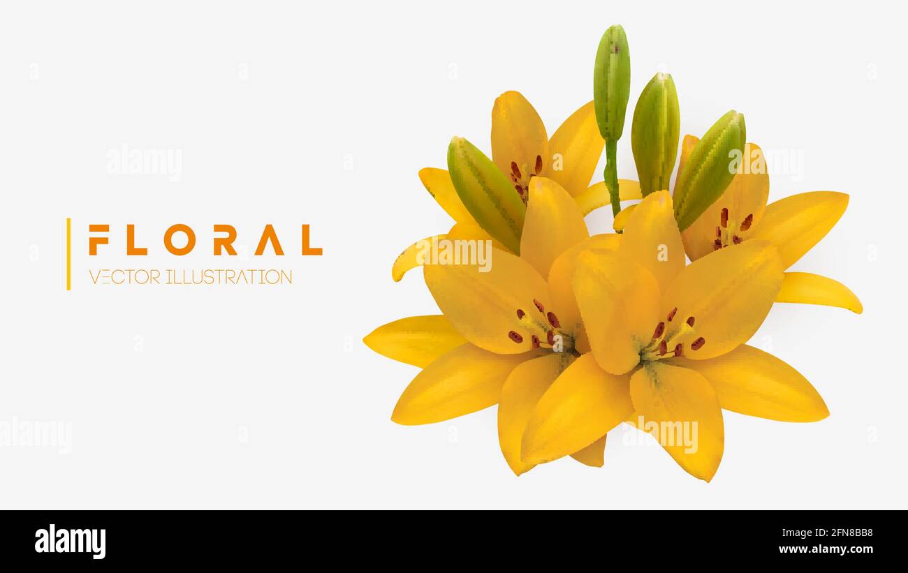 Lily flower tea Stock Vector Images - Alamy