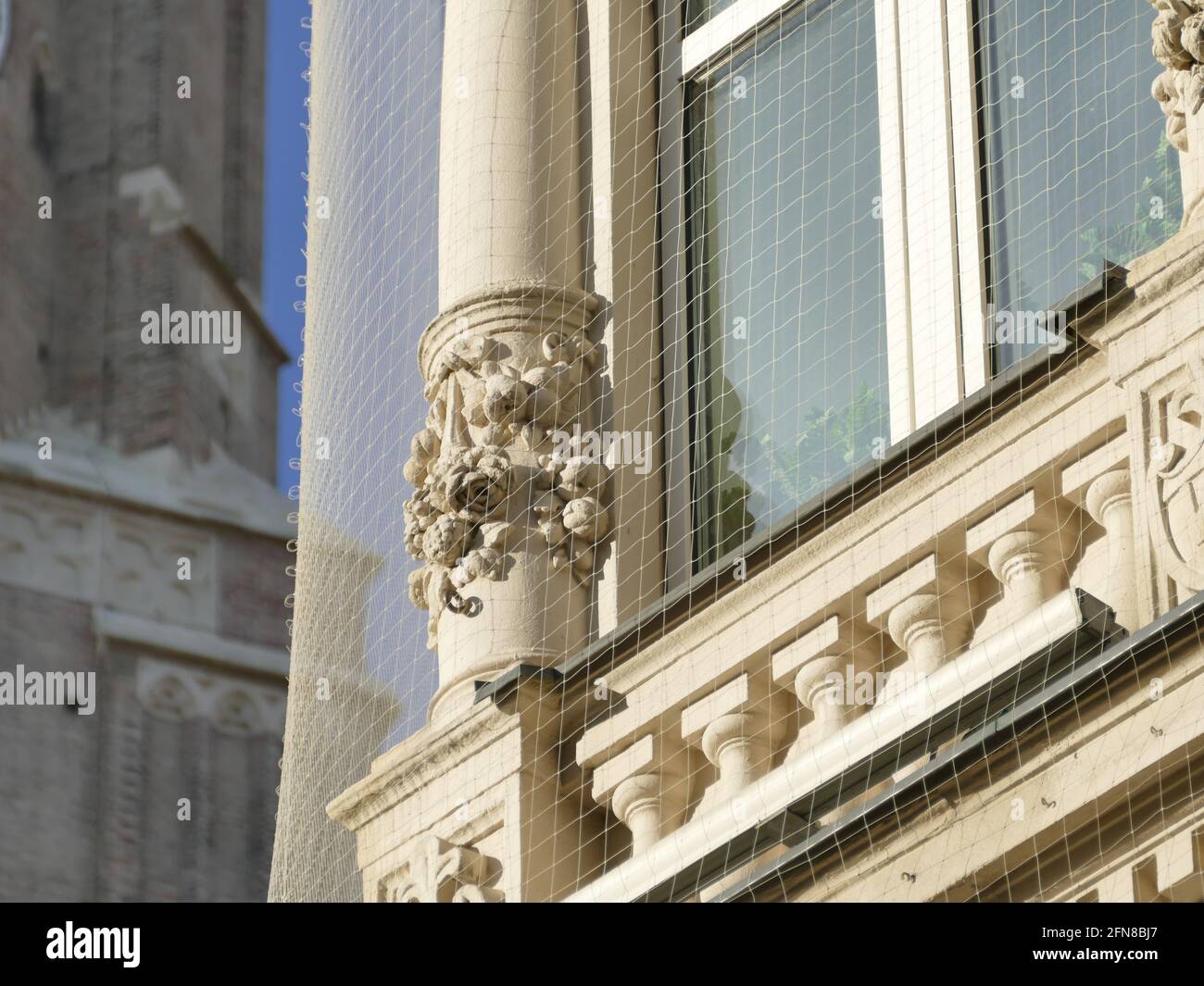 Pigeon protection net hi-res stock photography and images - Alamy