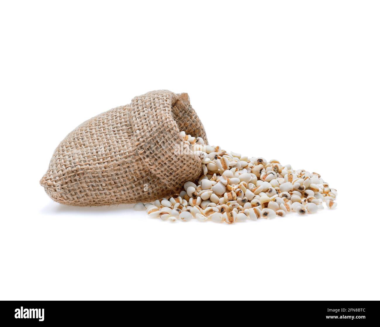 Millet rice , millet grains isolated on white background Stock Photo ...