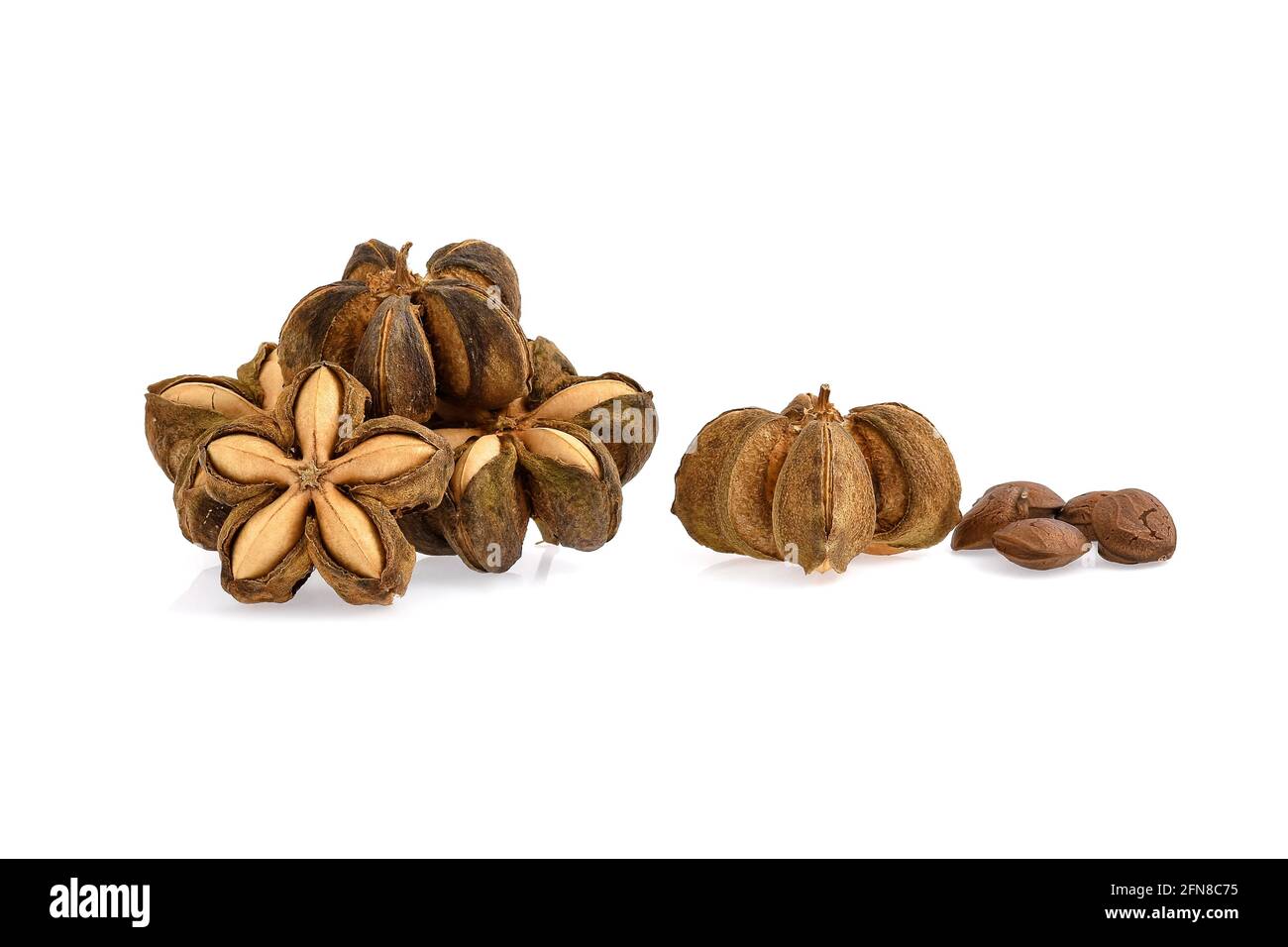 Inchi nuts hi-res stock photography and images - Alamy