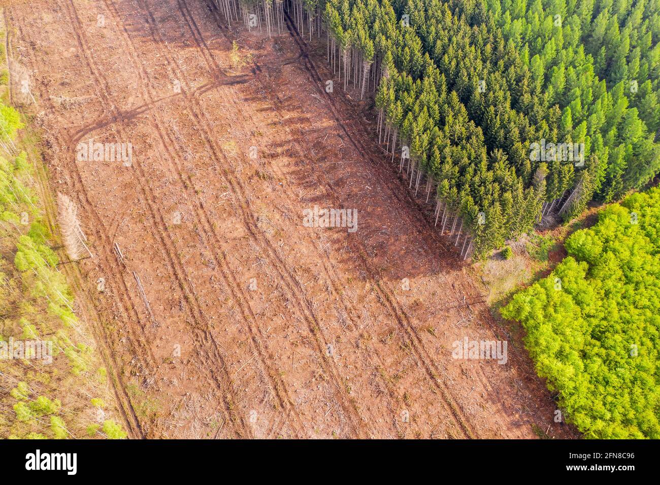 a felled forest part from above Stock Photo - Alamy