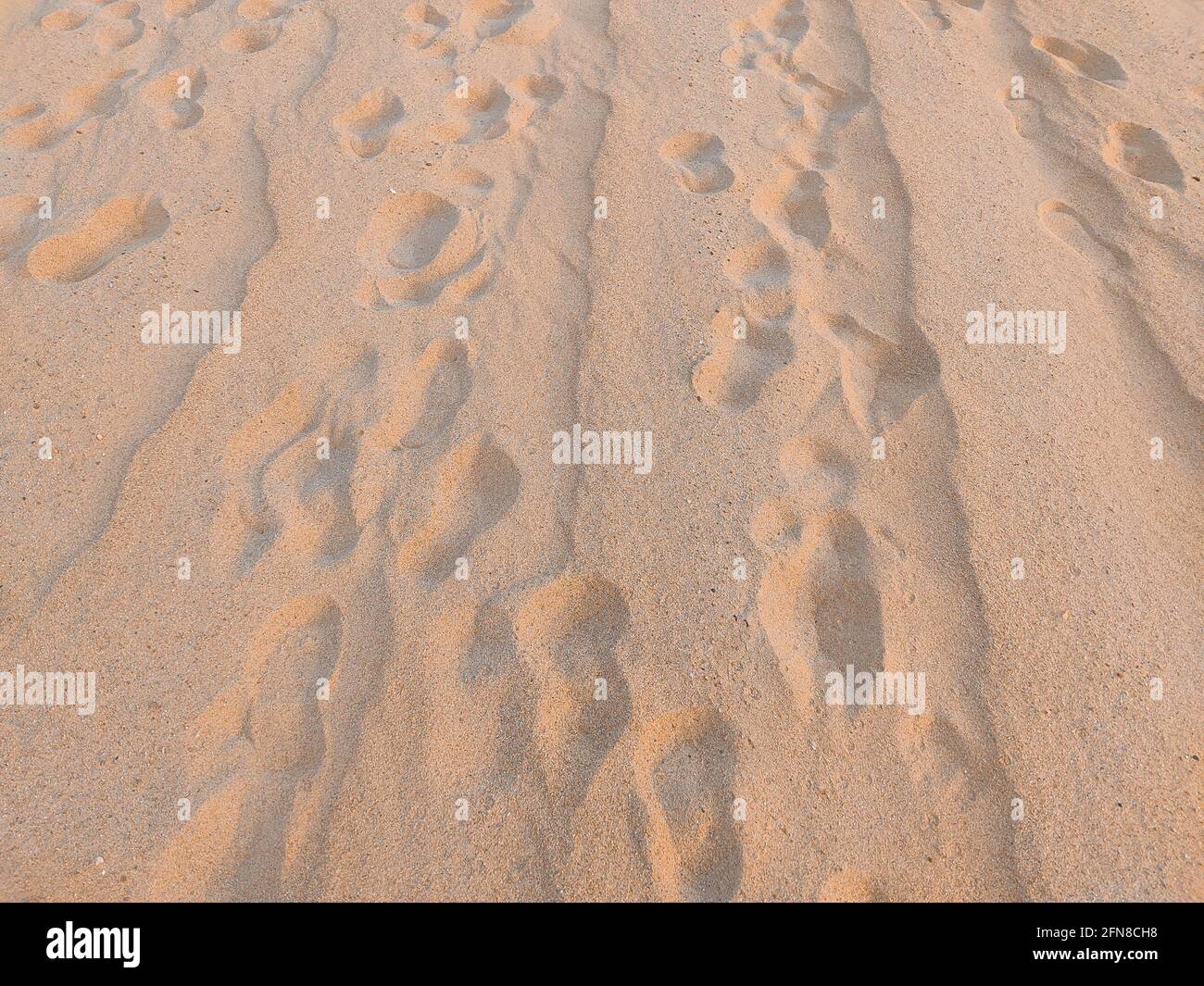 foots marks in sand desert Stock Photo - Alamy