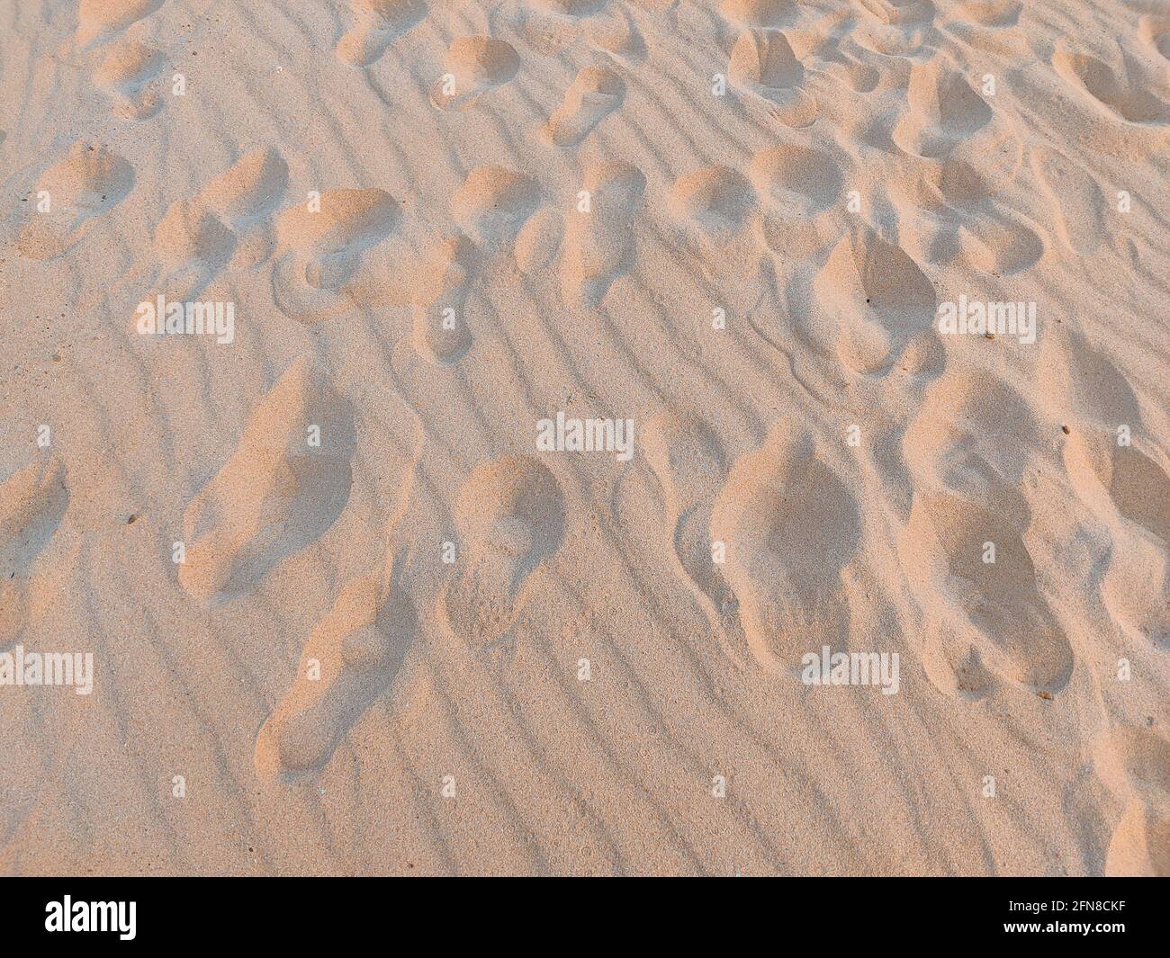 foots marks in sand desert field Stock Photo - Alamy