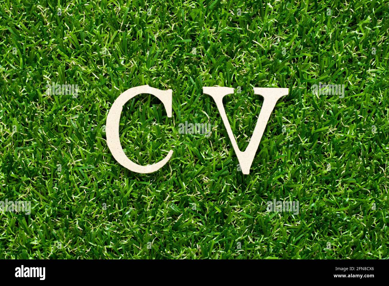 Wood alphabet letter in word CV (Abbreviation of curriculum vitae) on ...