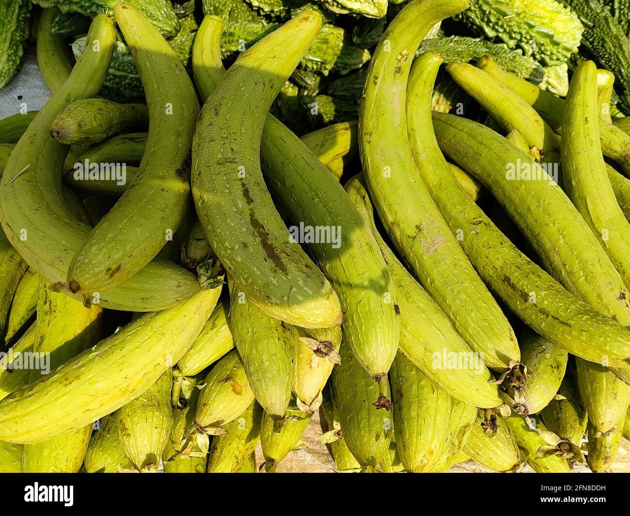 lots of fresh sweet gourd and bitter melon Stock Photo - Alamy