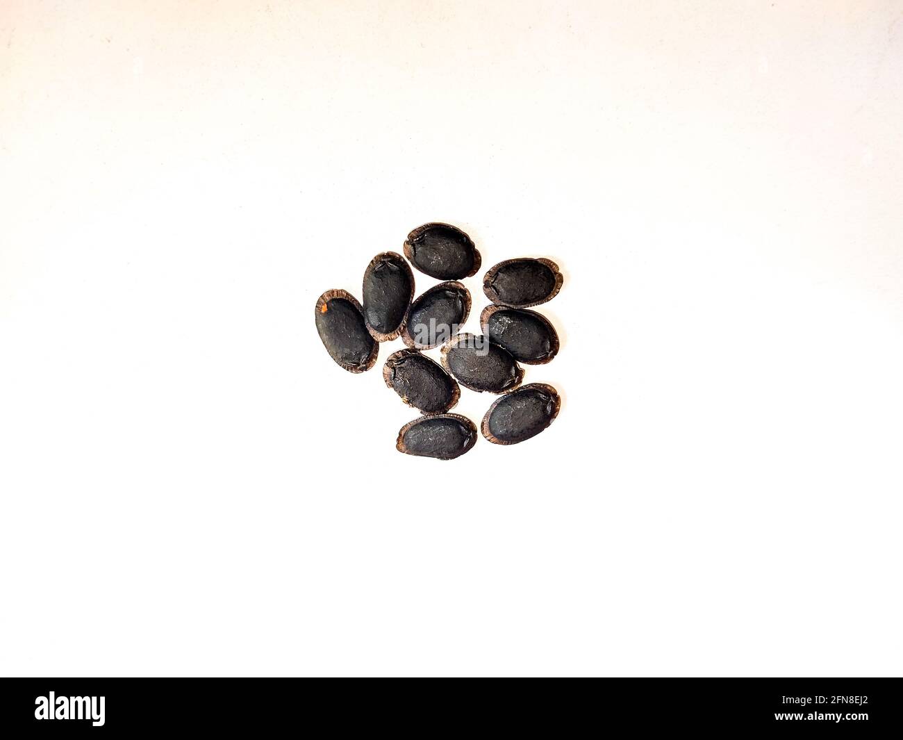 lots of black seed Stock Photo - Alamy