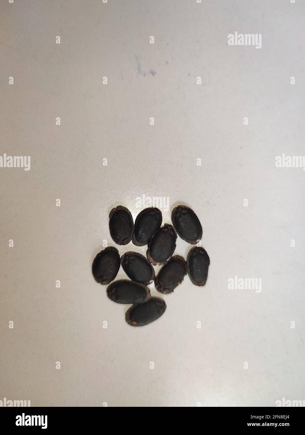 lots of seed with white background Stock Photo - Alamy