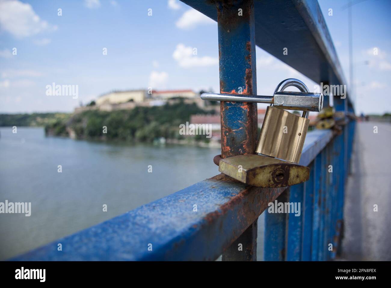 Picture of love locks tied to the railing of a bridge in Novi Sad ...