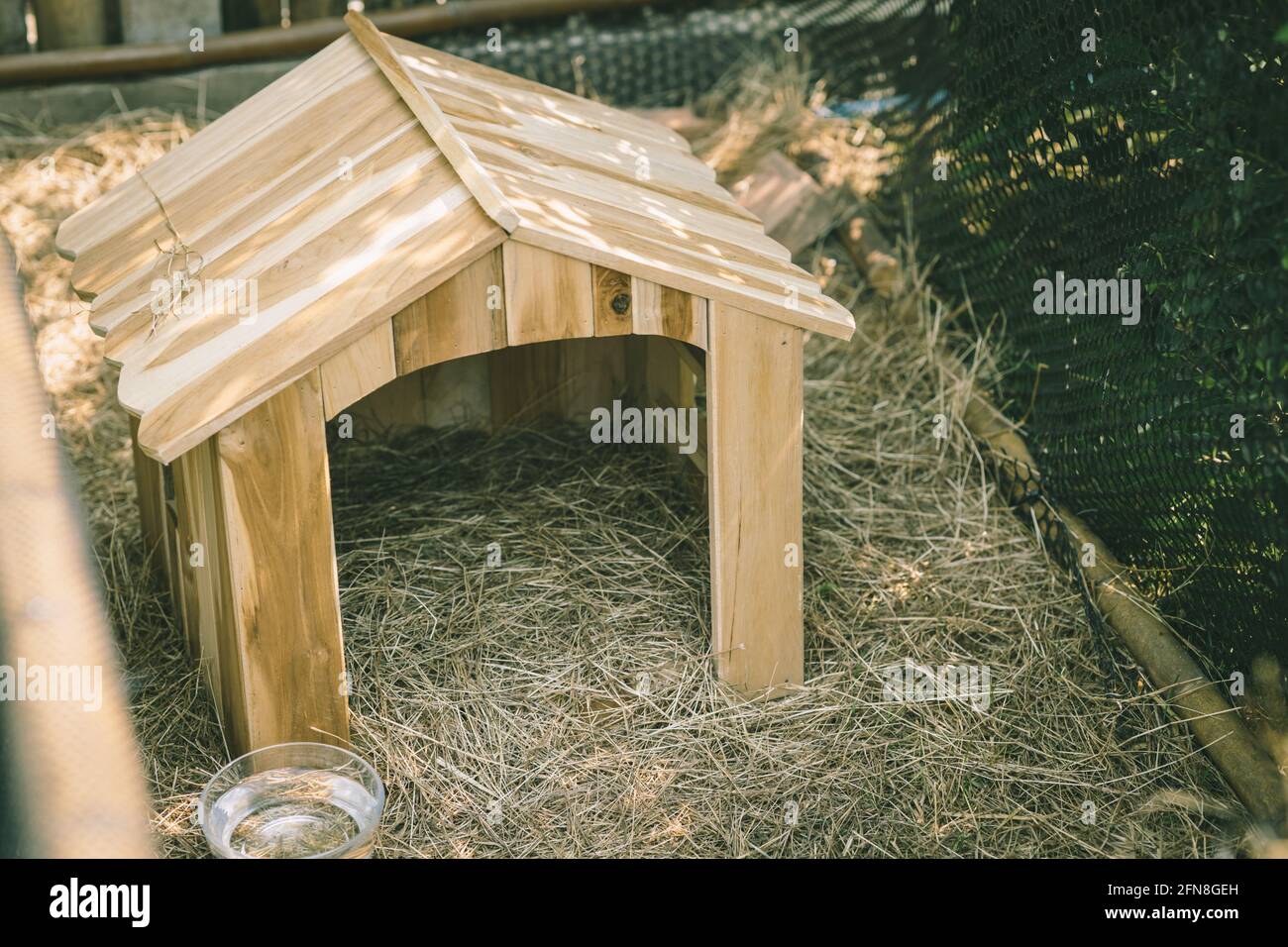 Animal home in the garden green grass, rabbit small wooden house cute ...