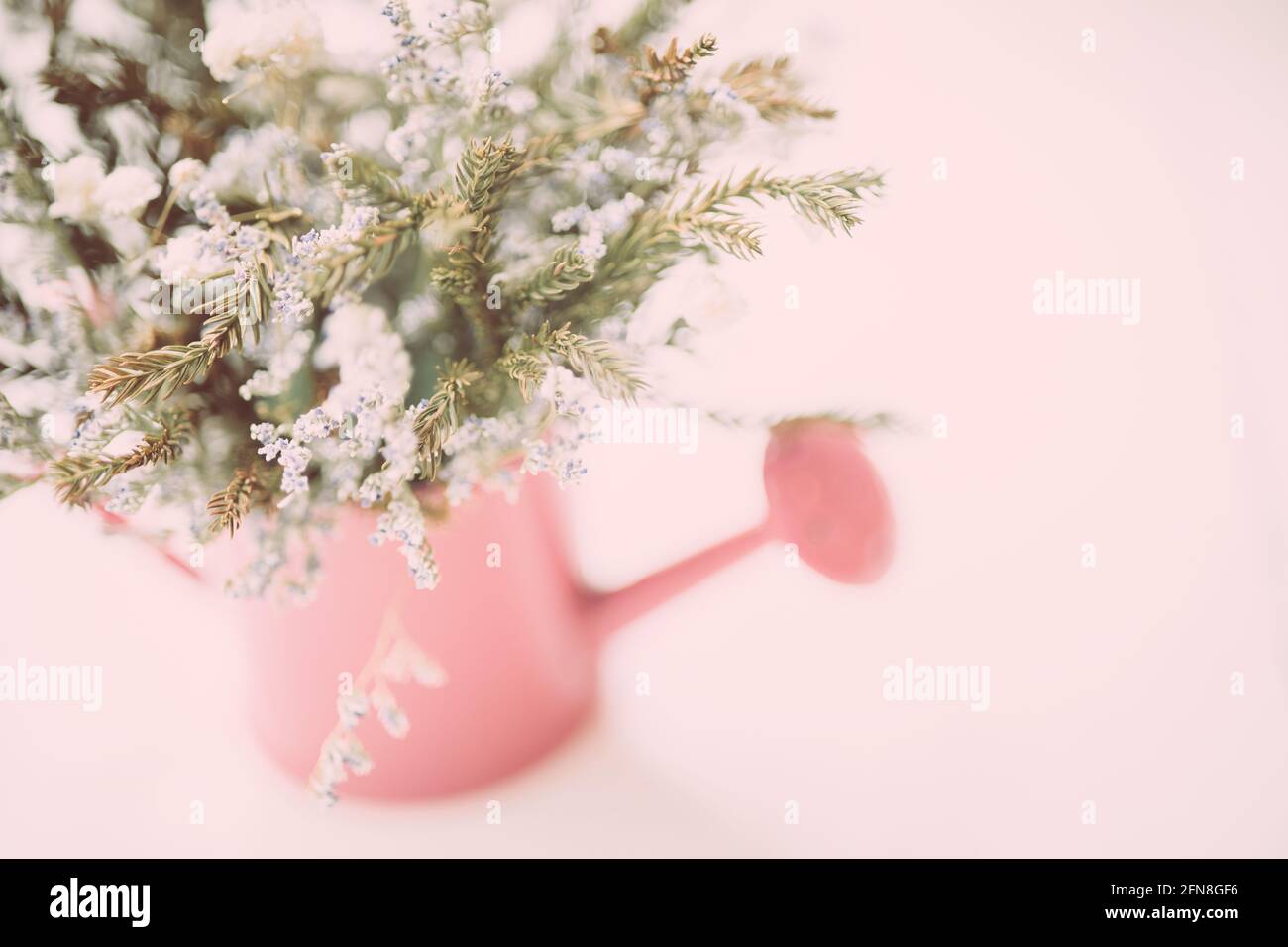 Pink grass background hi-res stock photography and images - Alamy