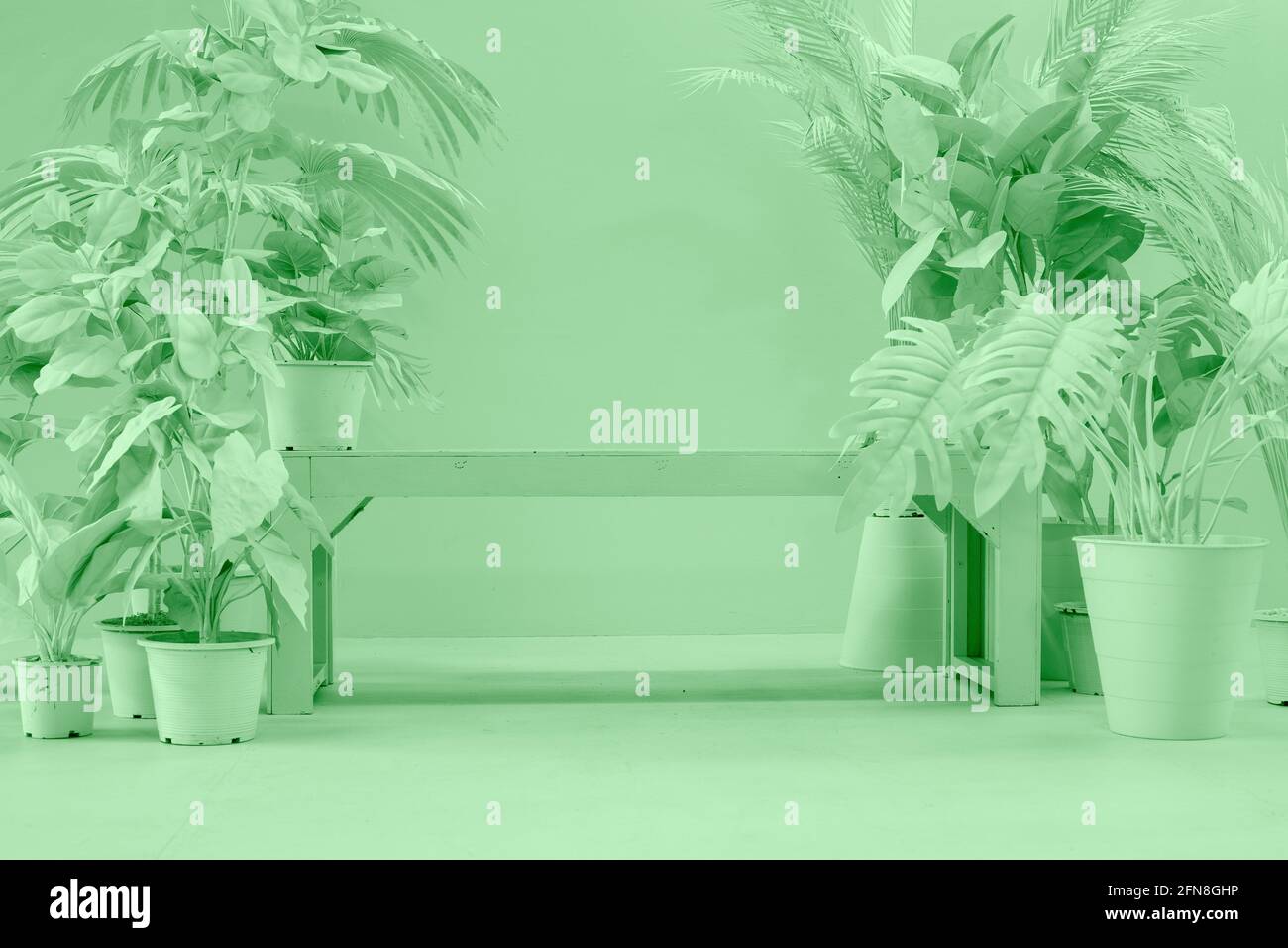 tropical and bench green tint palette decoration for background Stock ...