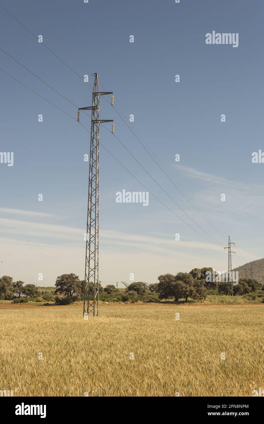 Vertical shot of transmission towers in the steppe during daylight ...