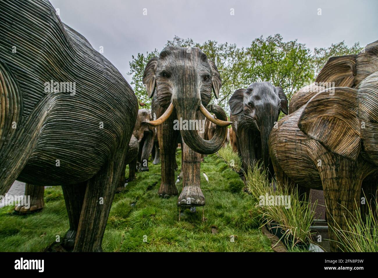 LONDON 15 May 2021. 125 life-size elephant sculptures are displayed in ...