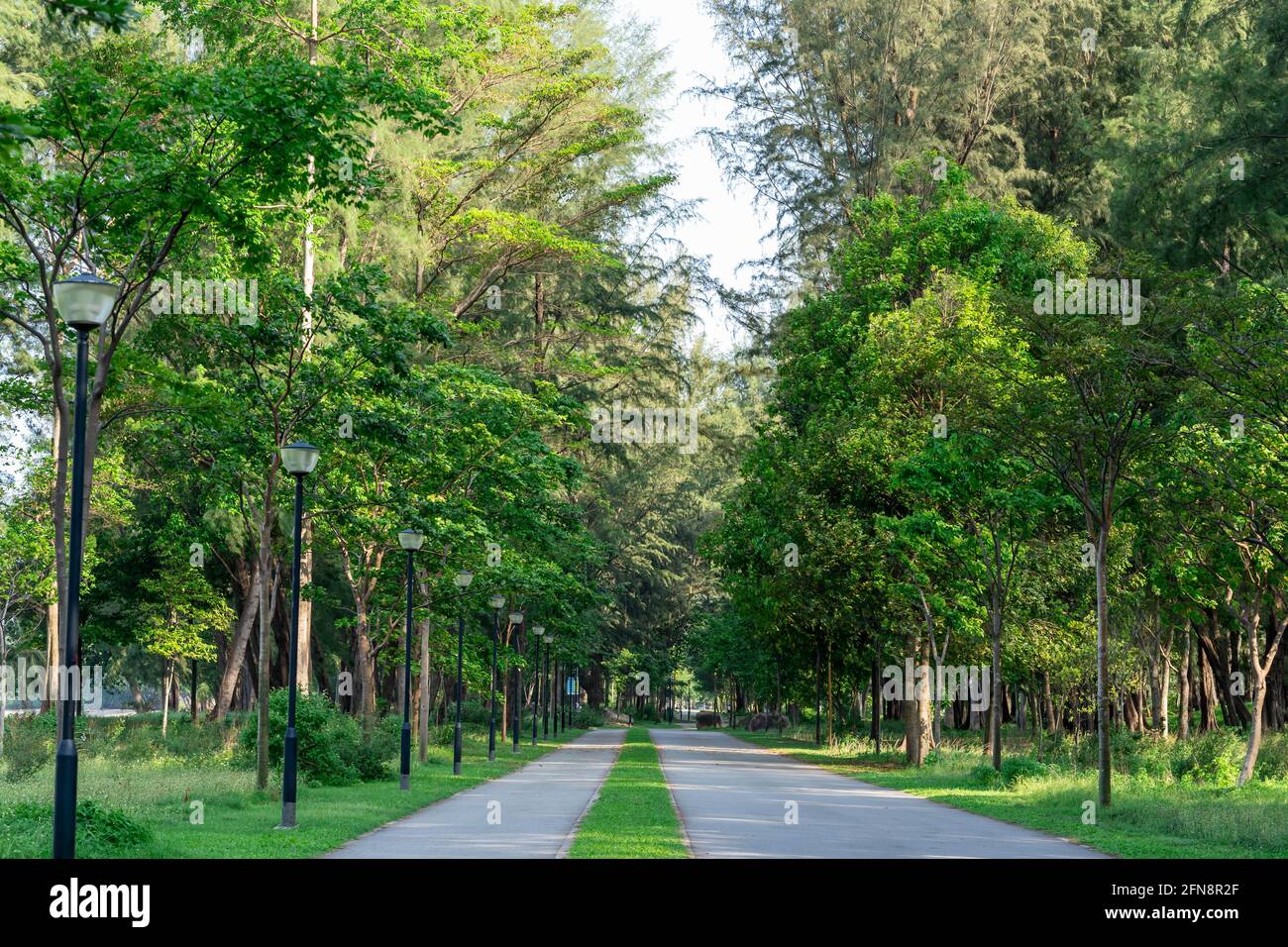 Park with trees and grass. Nature view of a park during summer Stock ...