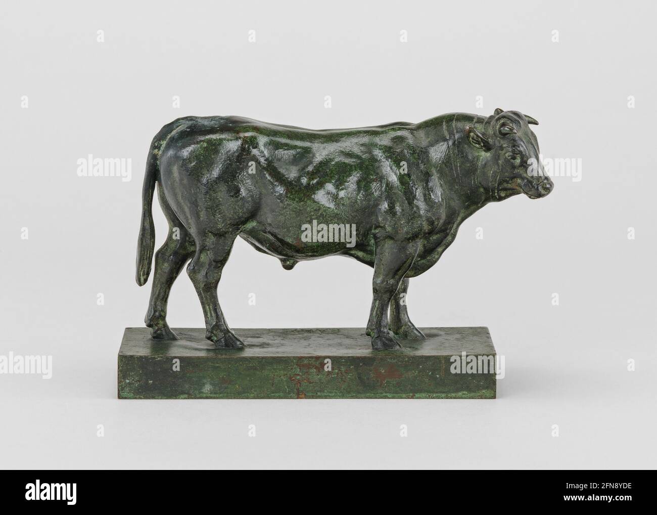 Smallest Bull In The World