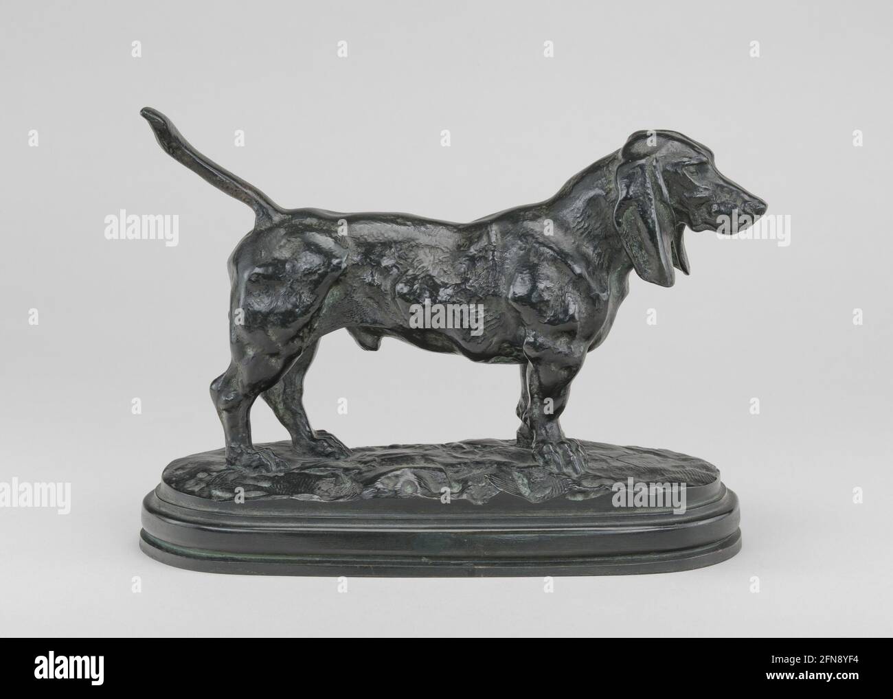 English Basset, model n.d., cast c. 1860/18731 Stock Photo - Alamy