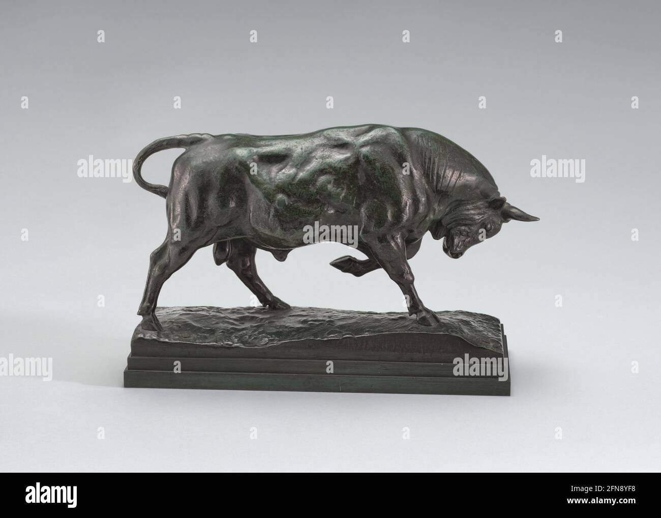 Bull pawing hi-res stock photography and images - Alamy