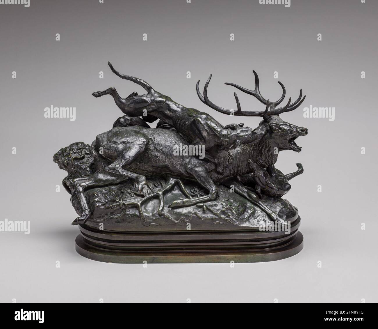 Ten-Point Stag Brought Down by Two Scotch Hounds, model n.d., cast ...