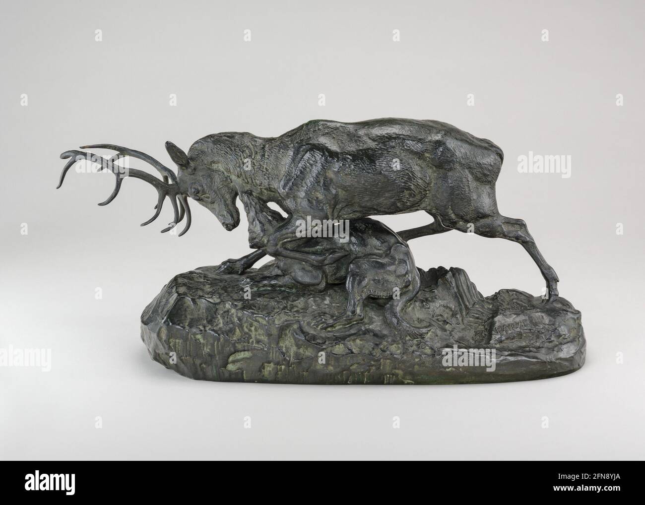 Wolf attacking deer hi-res stock photography and images - Alamy