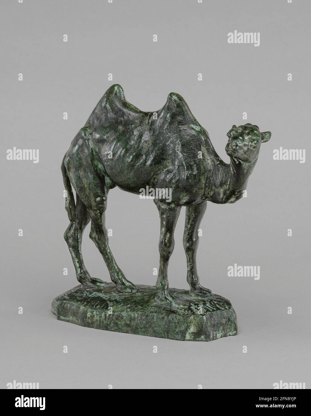 Persian Camel, model n.d., cast by 1874 Stock Photo - Alamy