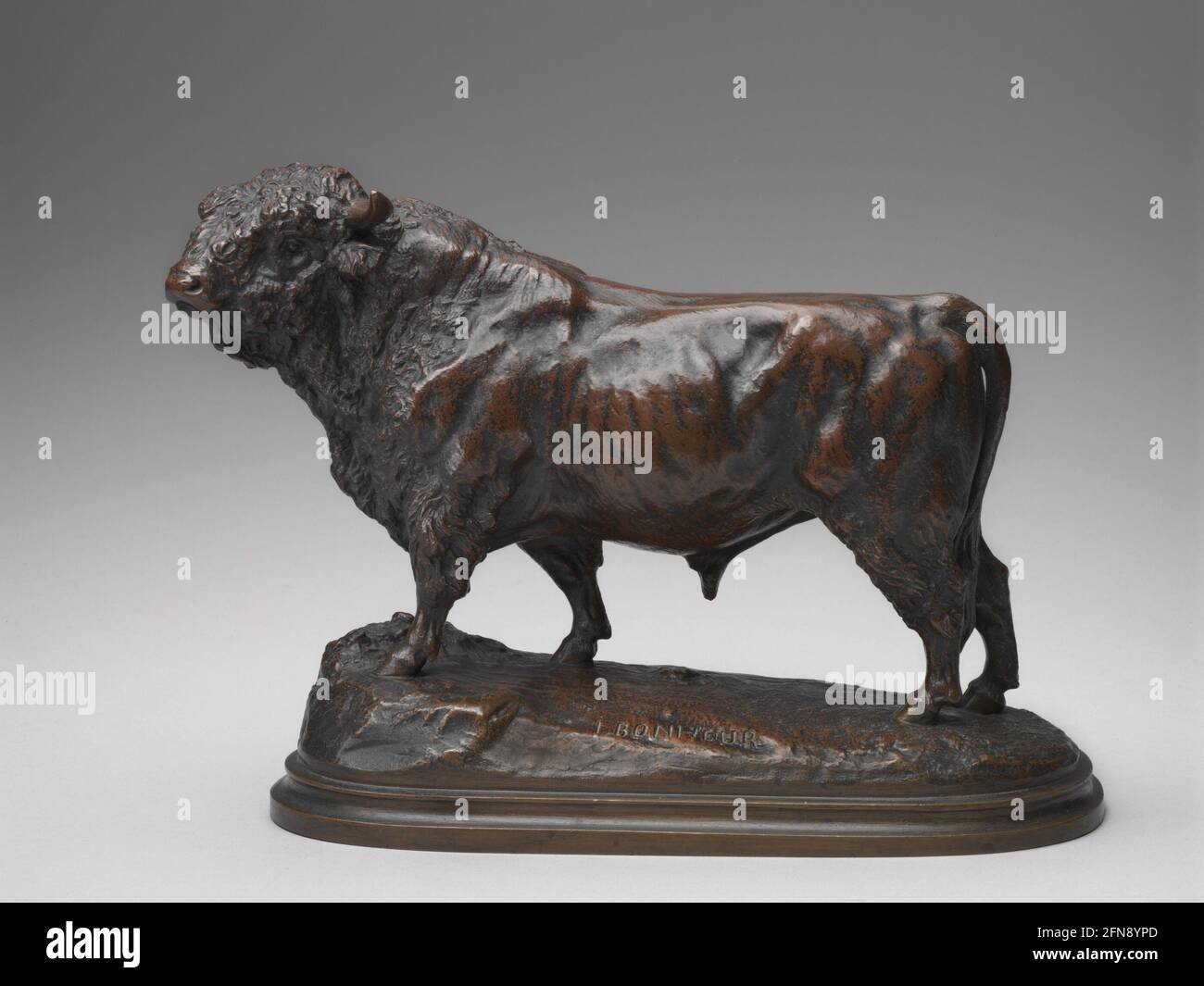 Standing Angus Bull, model second half 19th century Stock Photo - Alamy
